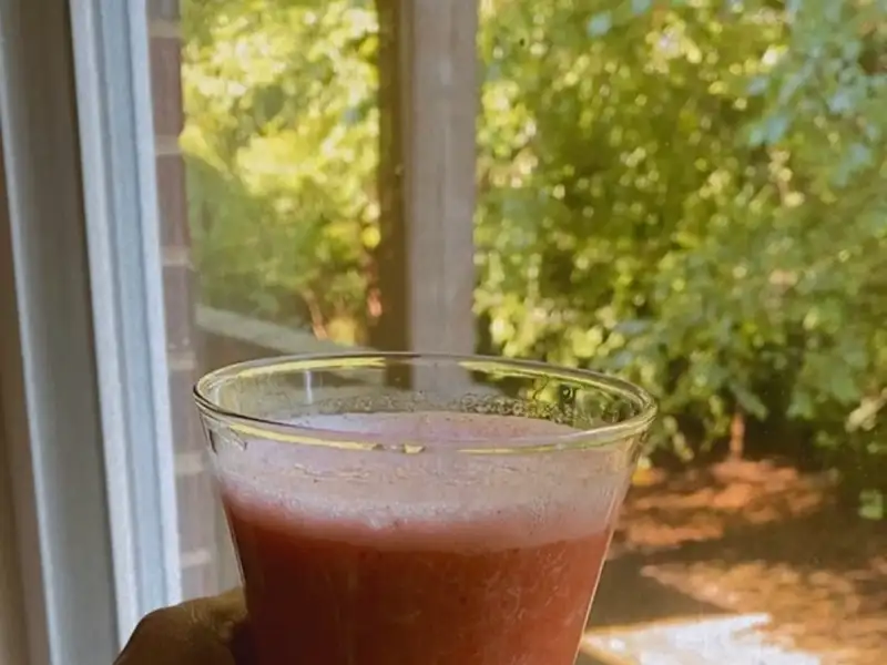Super Hydration Smoothie Dr Sebis Cell Food Recipe — Samsung Food
