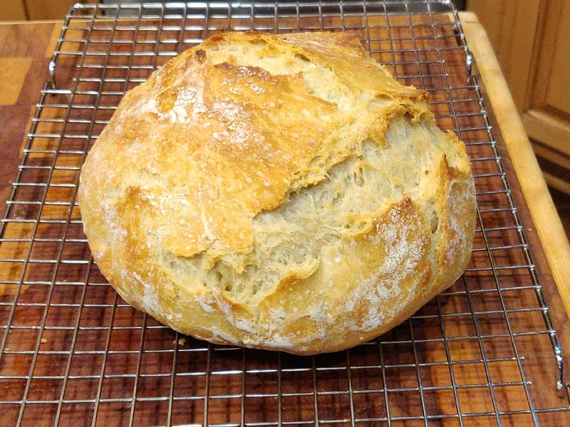 World's Easiest Yeast Bread recipe - Artisan, NO KNEAD Recipe — Samsung ...