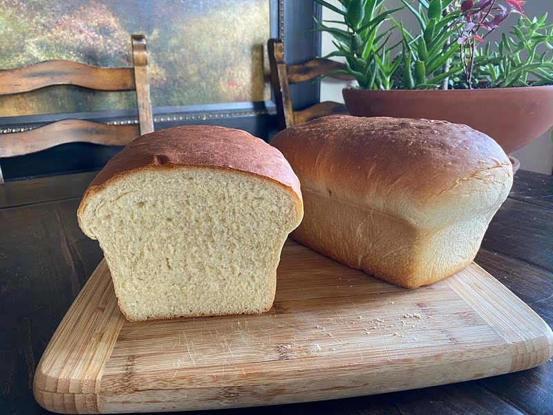 Sourdough Discard Sandwich Bread Recipe - Samsung Food