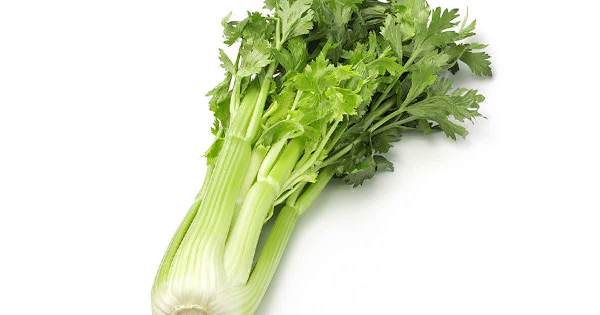 7338 Easy Celery Recipes