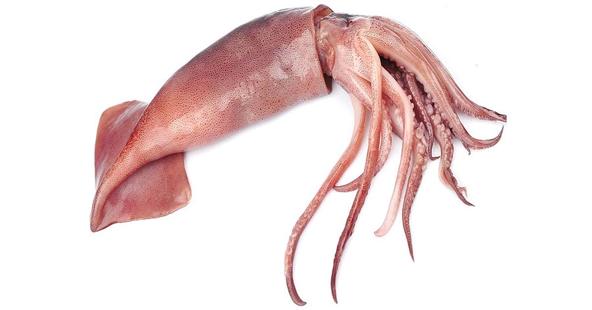 138 Easy Squid Recipes