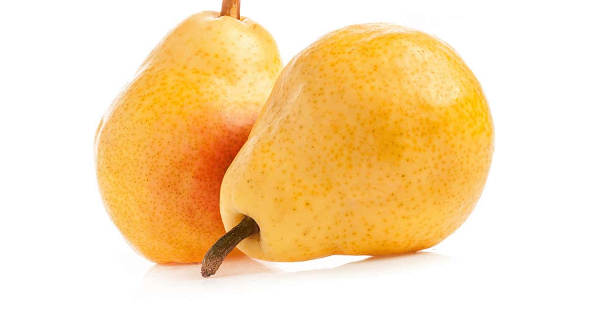 588 Easy Pear Recipes