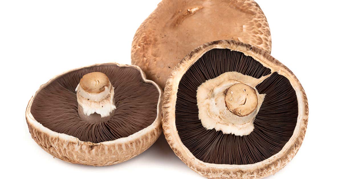 1 Easy Forestiere mushrooms Recipes for a Nutritious Meal from Samsung ...