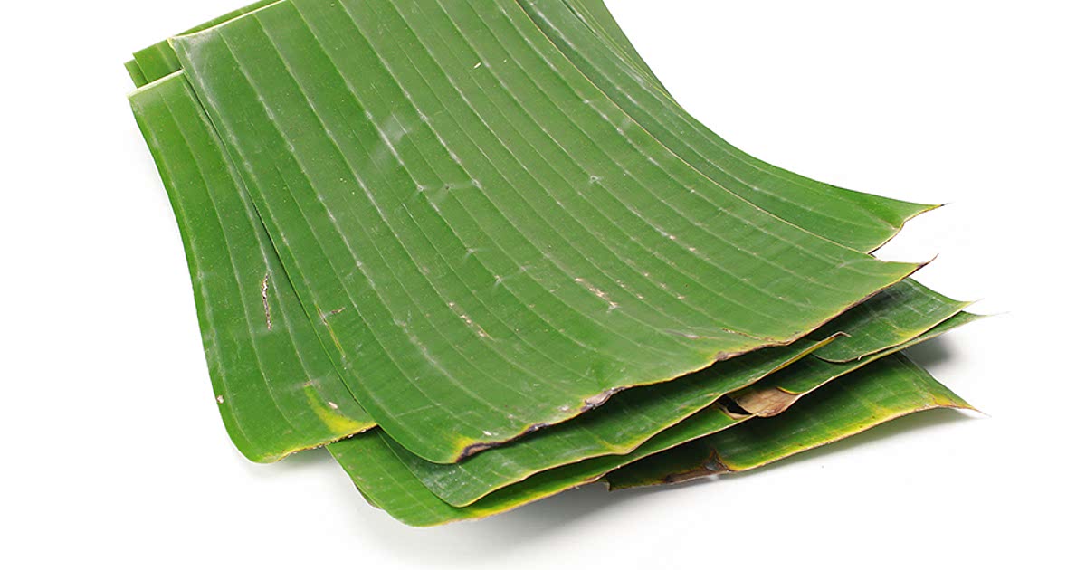 5 Easy Fresh plantain leaf Recipes