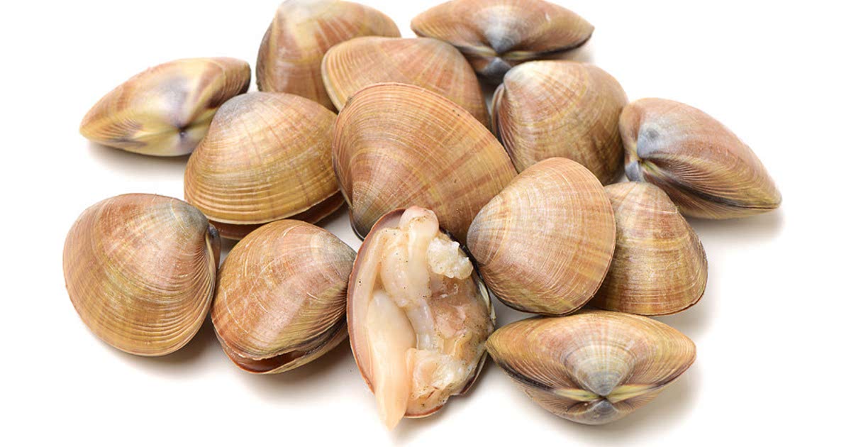 33 Easy Little neck clams Recipes for a Nutritious Meal from Samsung ...