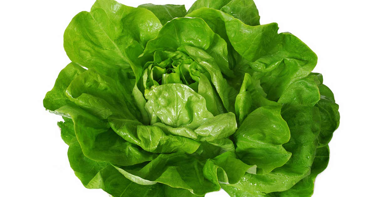4 Easy Round lettuce Recipes