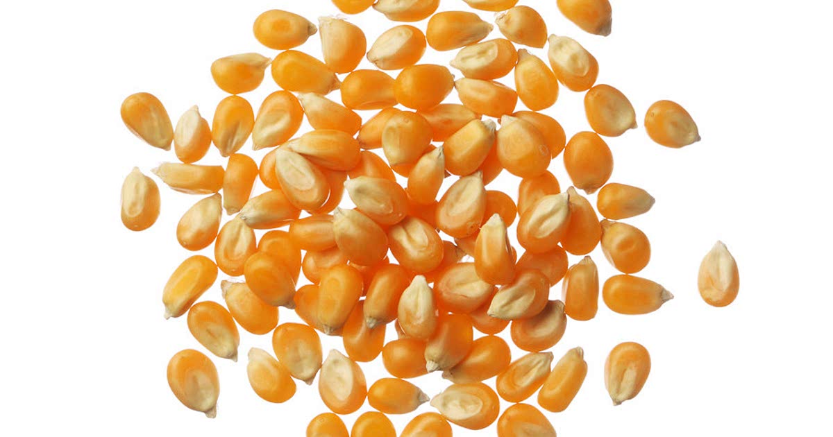 54 Easy Popcorn kernels Recipes