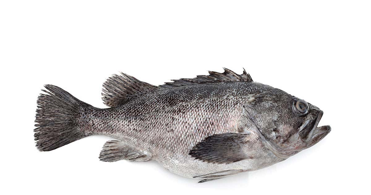 8 Easy Grouper Recipes for a Nutritious Meal from Samsung Food Community