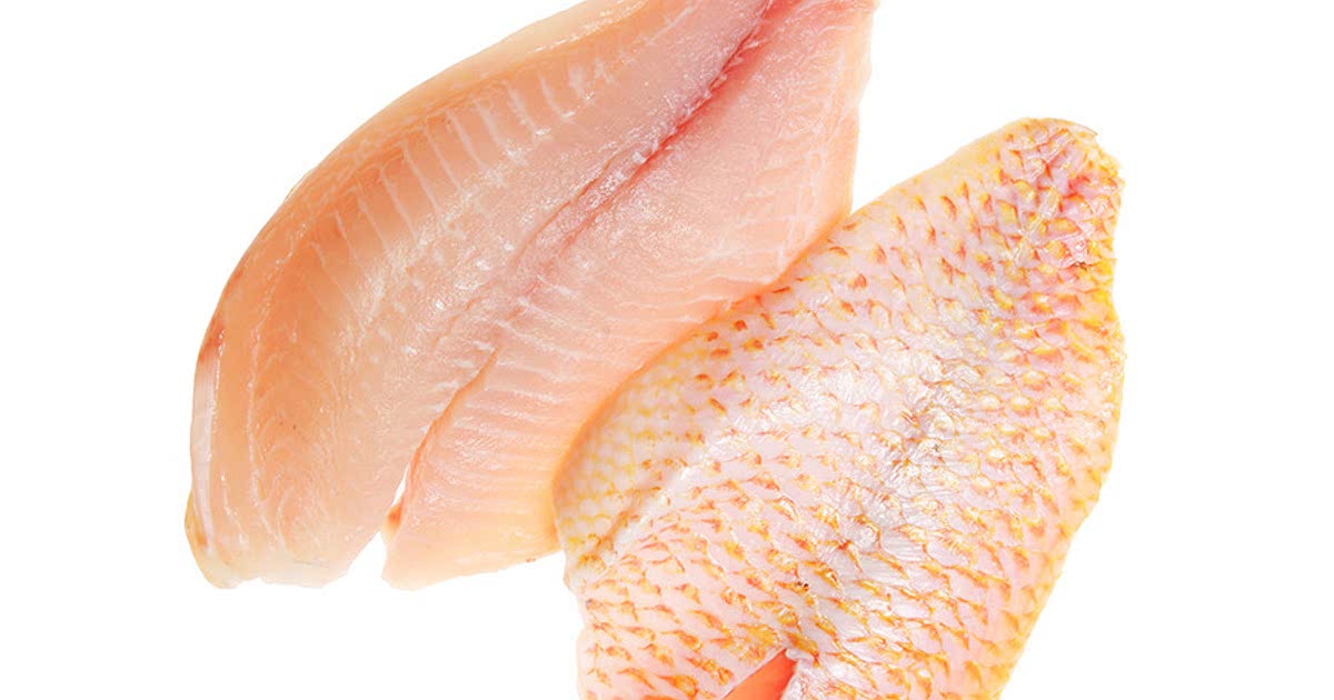 14 Easy Red snapper fillet Recipes for a Nutritious Meal from Samsung ...