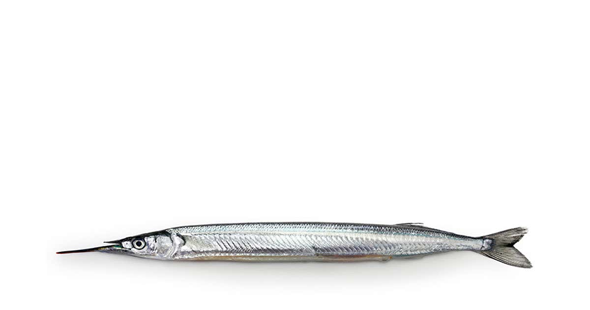 Easy Japanese halfbeak fish Recipes for a Nutritious Meal from Samsung ...