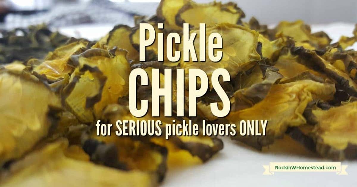 Dehydrated Pickles: For Serious Pickle Lovers ONLY | Rockin W Homestead ...