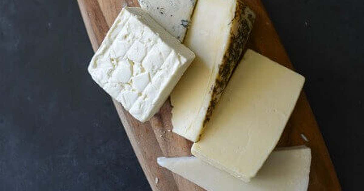 Dehydrated Cheese Powder Tutorial Recipe - Samsung Food
