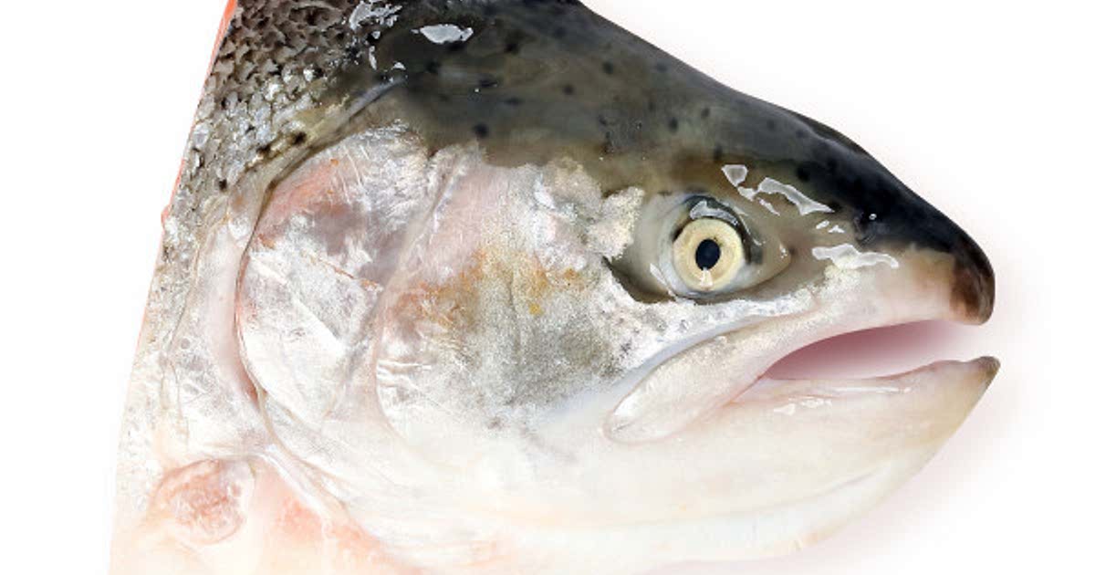 Easy Cod head Recipes