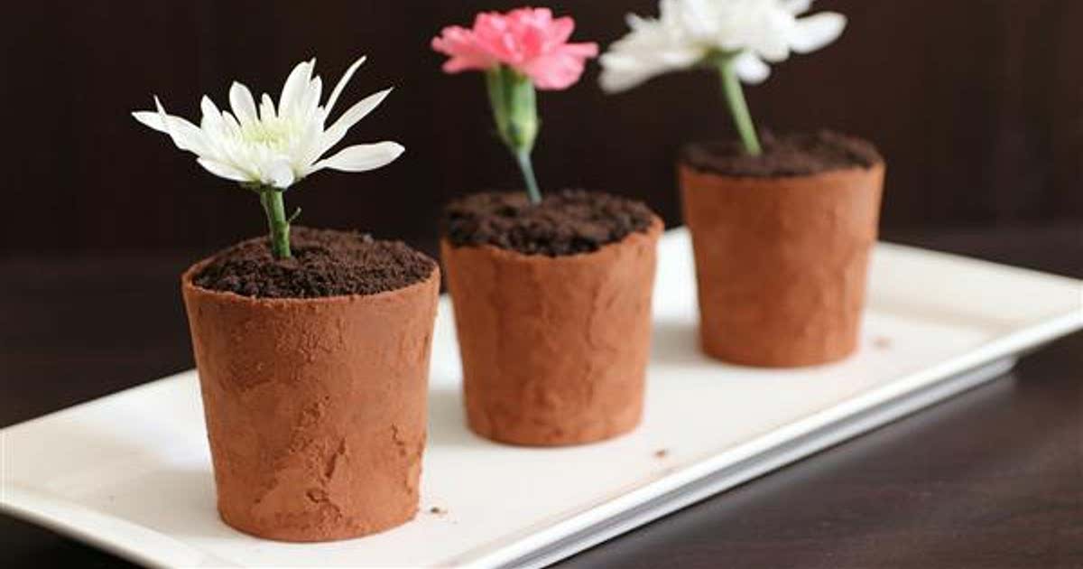 Flower Pot Dessert Recipe — Samsung Food