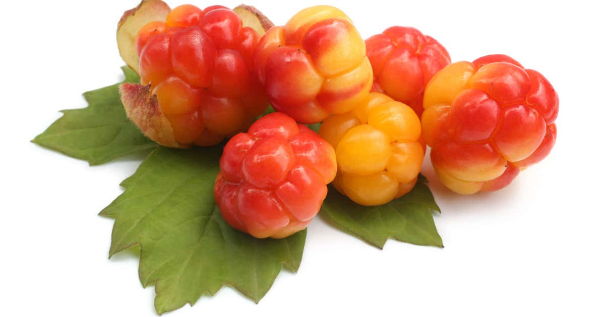 1 Easy Cloudberries Recipes for a Nutritious Meal from Samsung Food ...