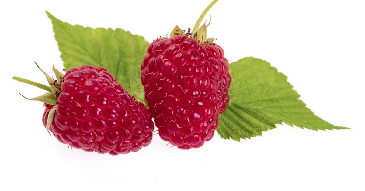 Easy Loganberries Recipes