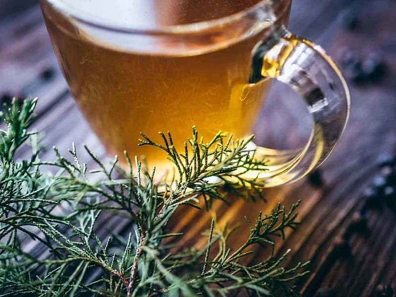 Juniper Berry Tea Recipe - Samsung Food