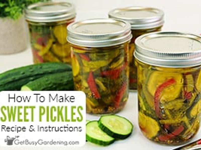 Old Fashioned Sweet Pickle Recipe - Samsung Food