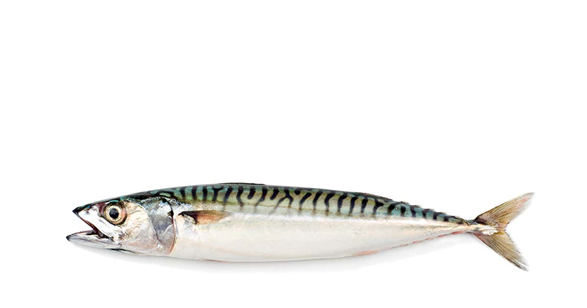Easy Japanese jack mackerel Recipes for a Nutritious Meal from Samsung ...