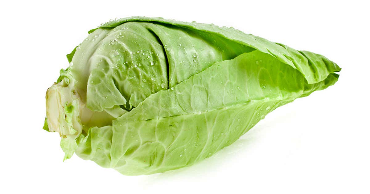 26 Easy Pointed cabbage Recipes for a Nutritious Meal from Samsung Food ...