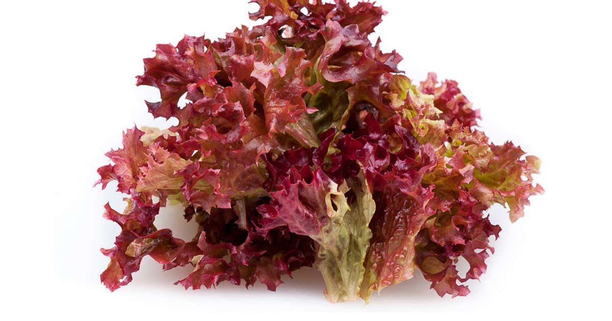 Easy Red bibb lettuce Recipes for a Nutritious Meal from Samsung Food ...