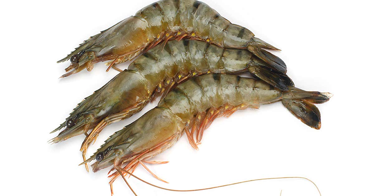 Easy Japanese mud shrimp Recipes for a Nutritious Meal from Samsung ...