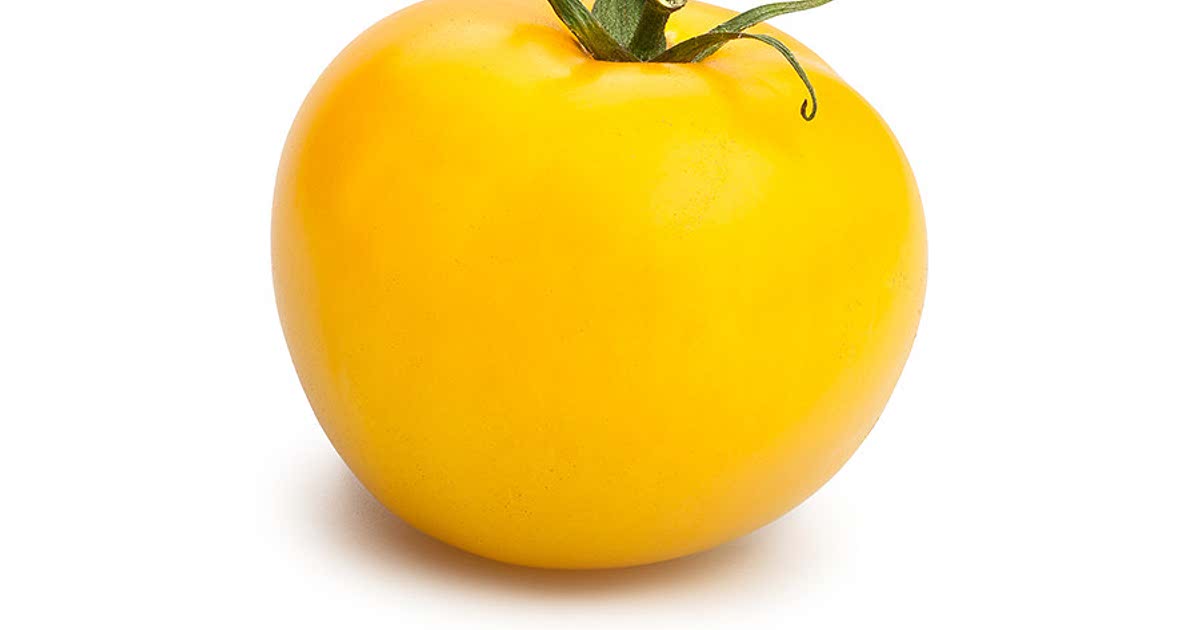 Easy Yellow heirloom tomato Recipes for a Nutritious Meal from Samsung ...