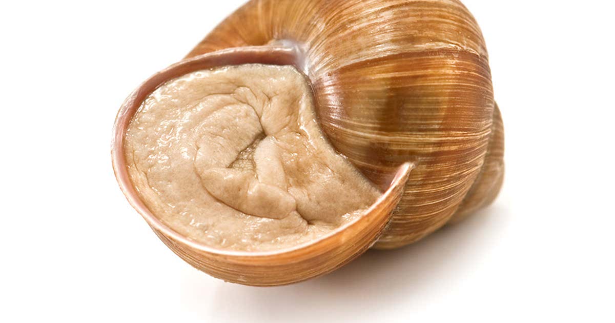 Easy Escargot Recipes for a Nutritious Meal from Samsung Food Community