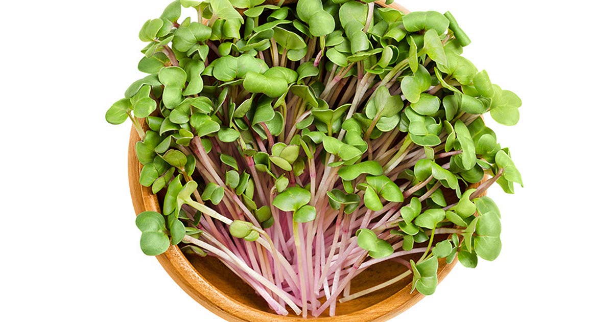 Easy Beet cress Recipes for a Nutritious Meal from Samsung Food Community